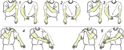 My Reiki One Handbook