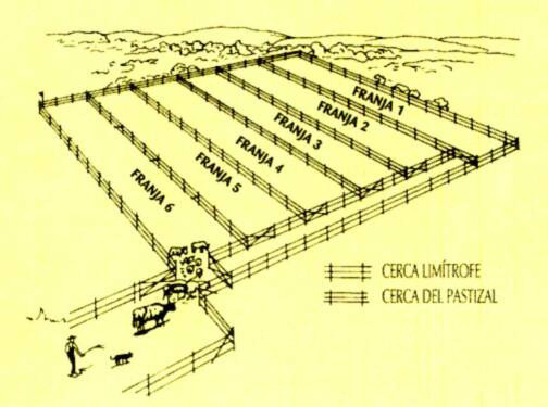 Sistemas de pastoreo