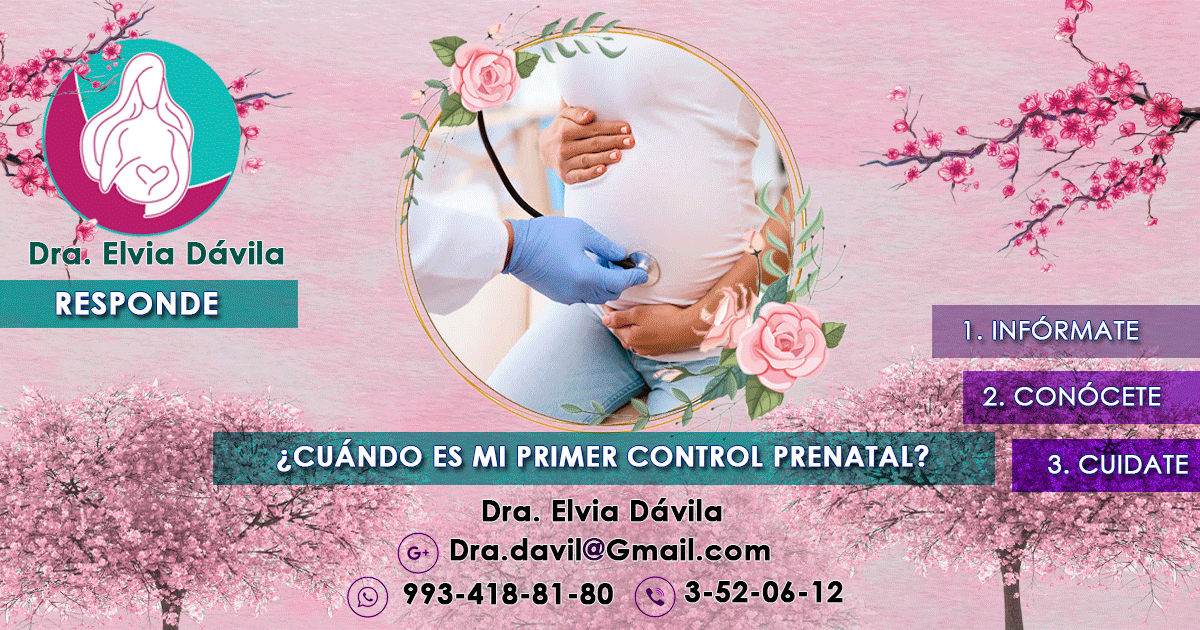 Estoy embarazada ¿Cuándo es mi primer control prenatal?