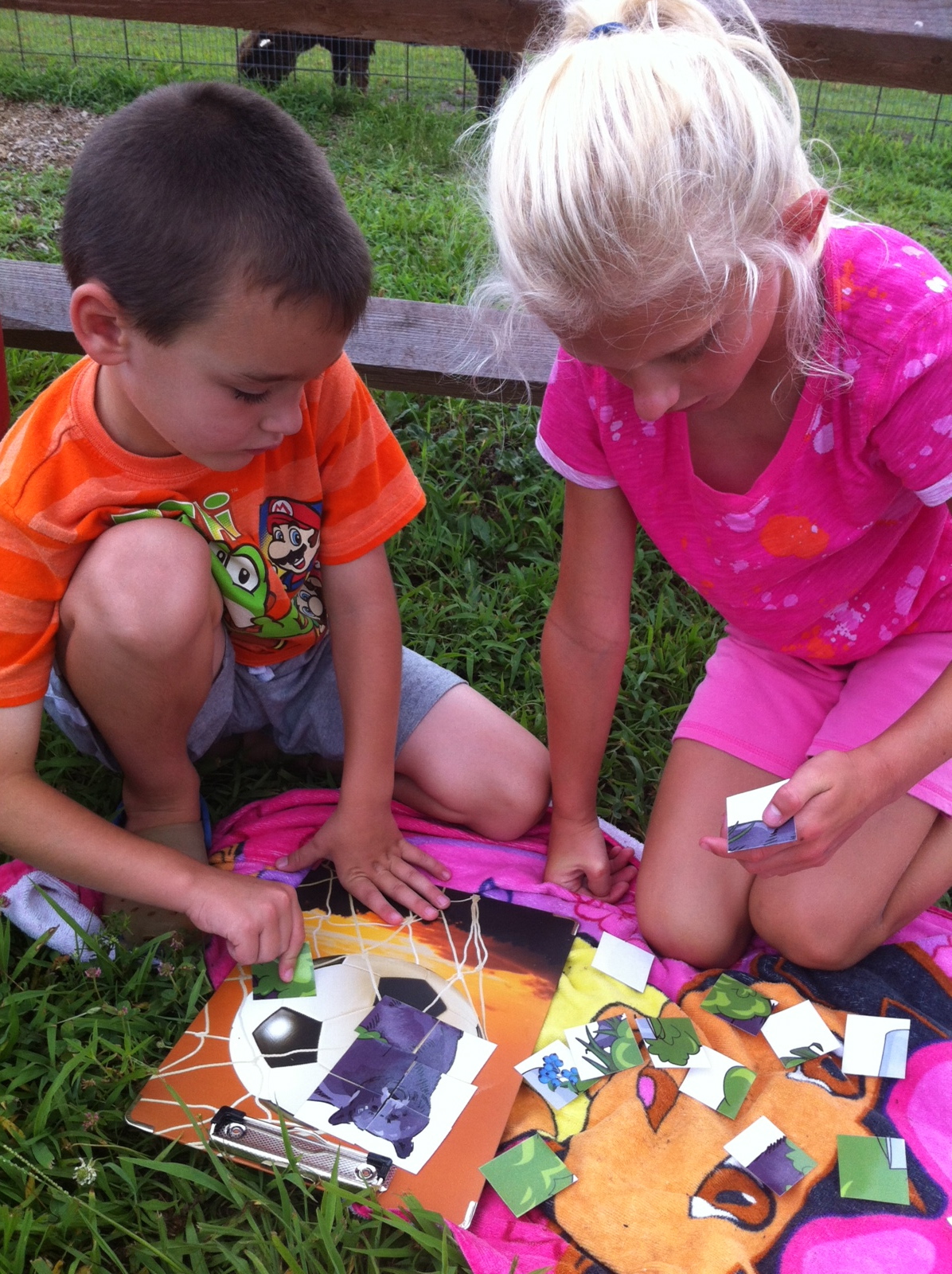 Some of the Best Things in Life are Mistakes: Blueberry Picking Activities