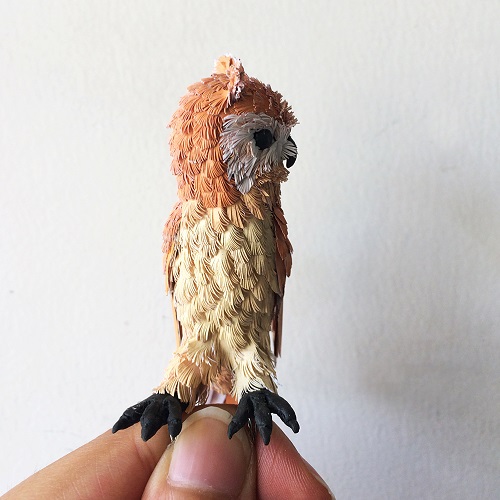 My Owl Barn: Wildlife Artist and a Conservationist Niharika Rajput