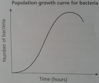 New Zealand NCEA level 1 Biology : Bacterial growth