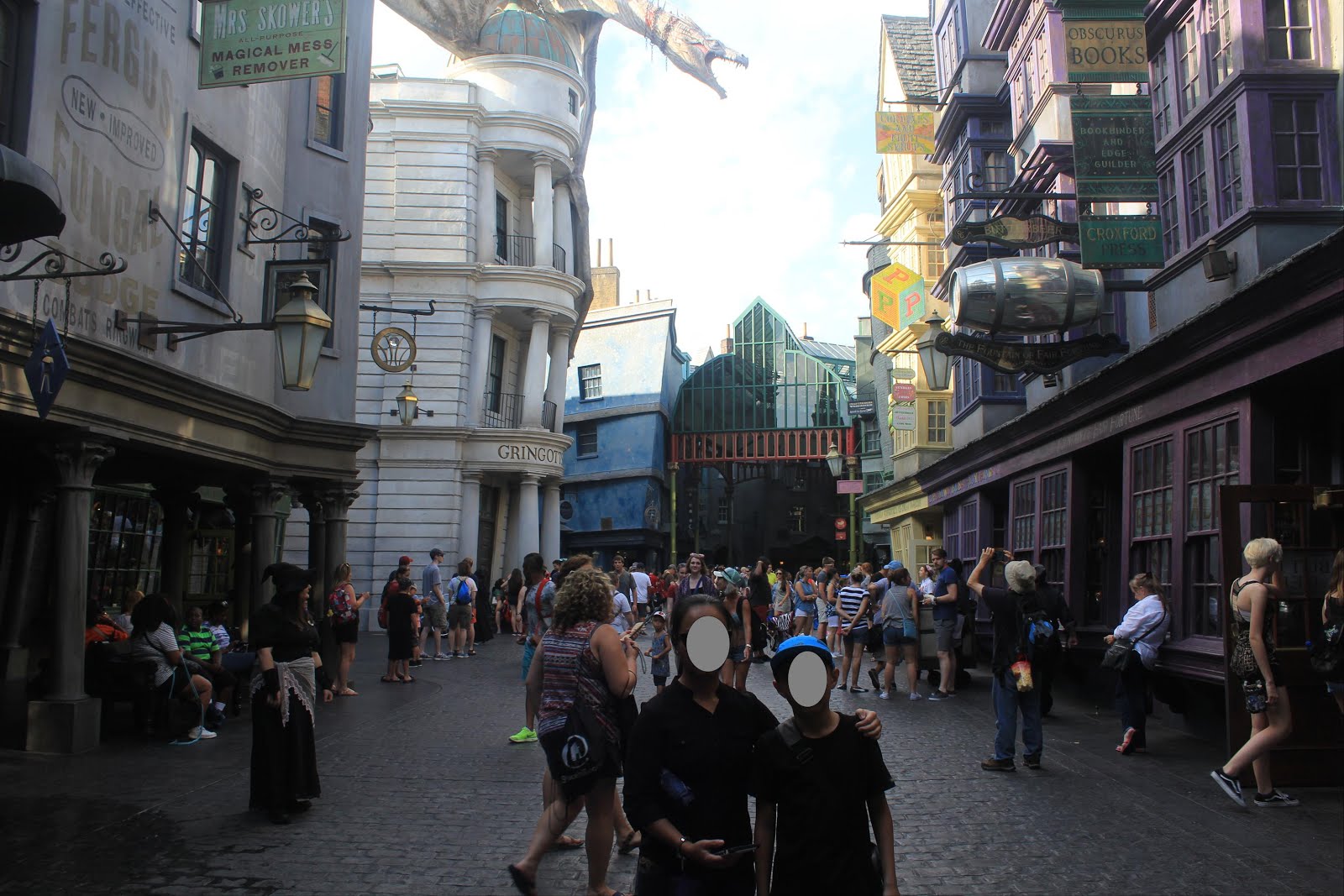 Stay, Stray, Play and Feast: Wizarding World of Harry Potter: Magical ...