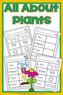 First Grade Love: 12 Easy Activities to Do With Plant Life Cycle