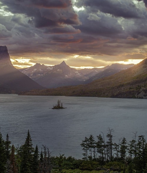 Truth of Cursed Wallpaper: Android Bug