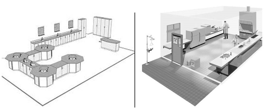 Sci Ed 13 Microbiology and Parasitology e-Laboratory Manual