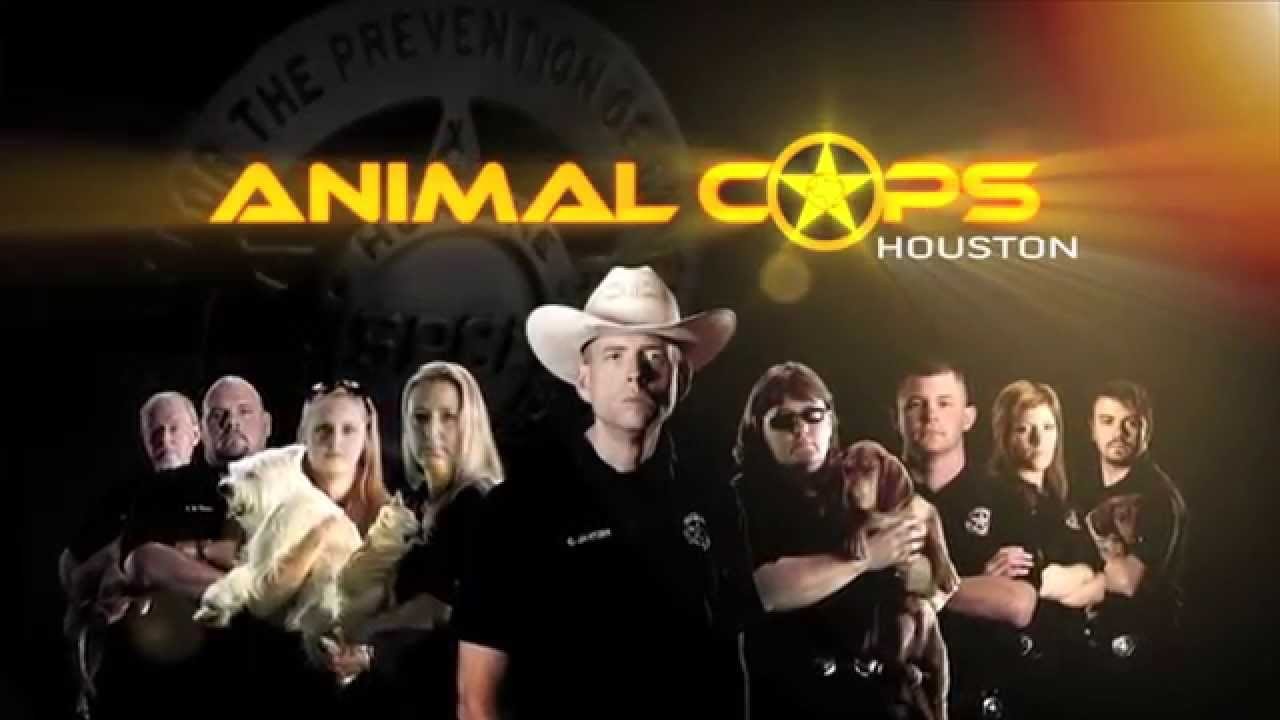 Animal Cops: Miami