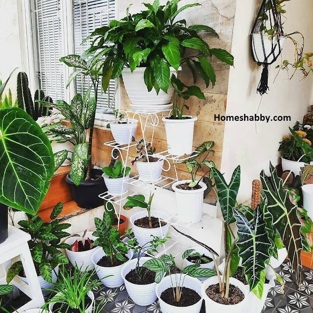 7 Ide Menata Taman Kecil Dengan Pot Yang Cantik, Solusi Lahan Sempit ...