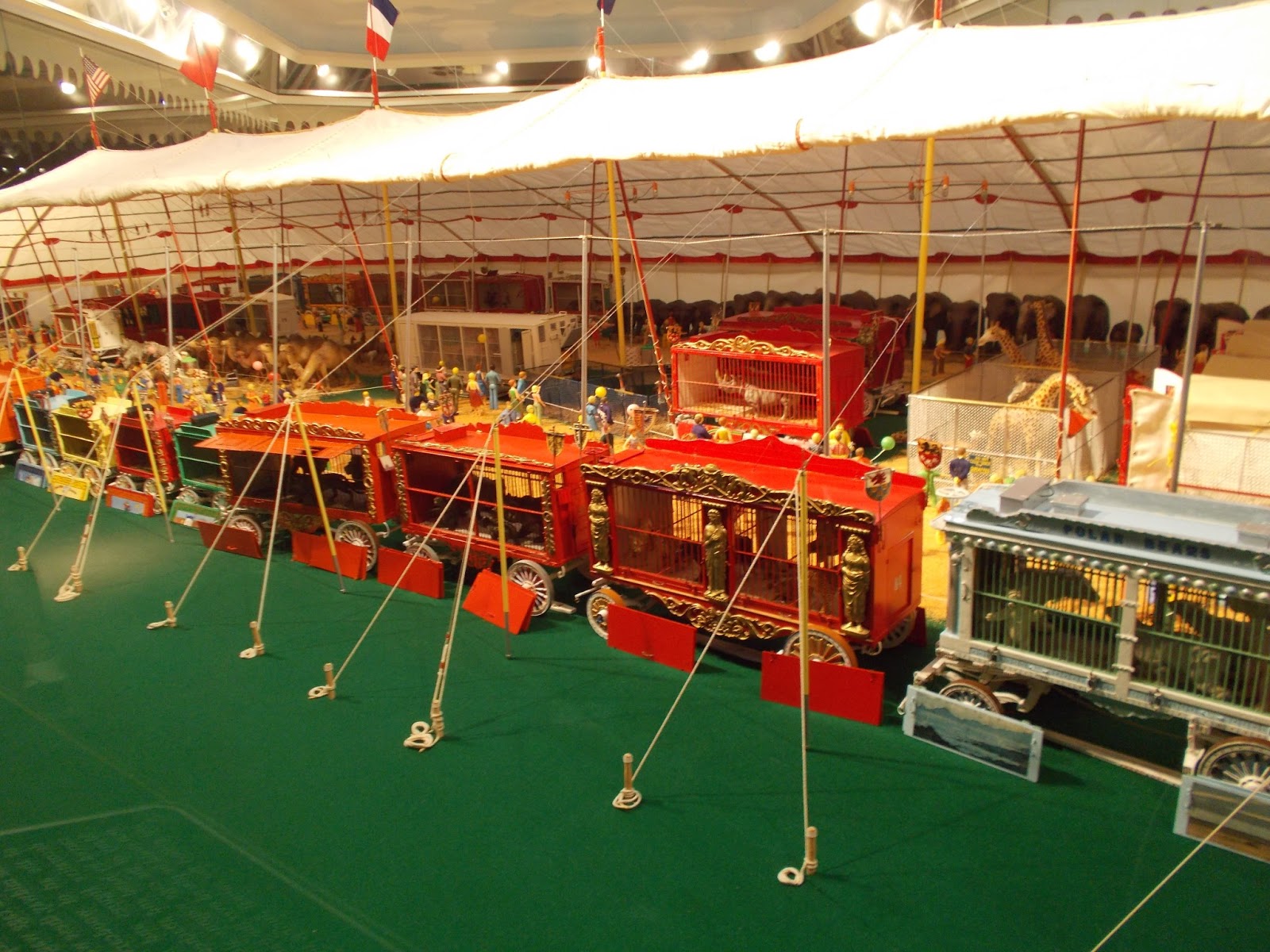 Tarra's Travels: Tampa Bay Area in Florida