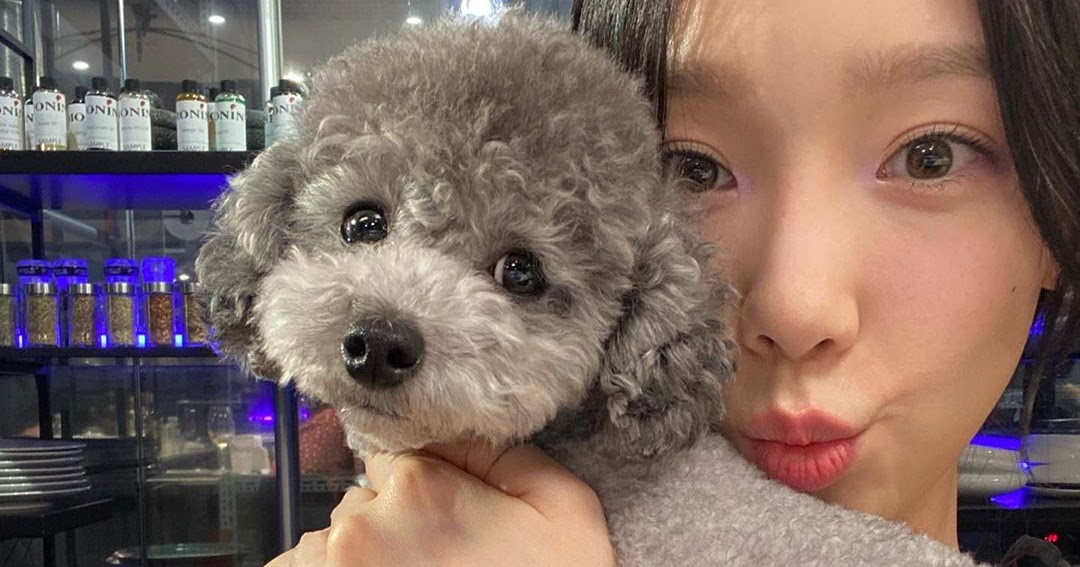 SNSD Taeyeon celebrates Zero's 3rd birthday! - Wonderful Generation