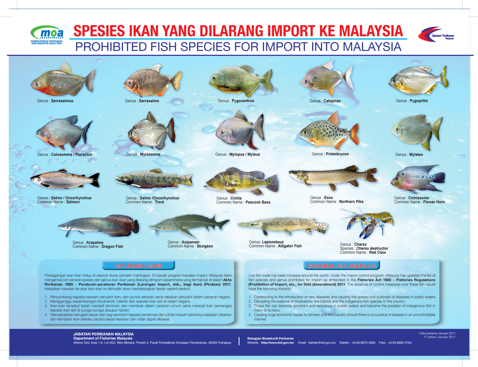 fqemo design: Poster & Leaflet Jabatan Perikanan