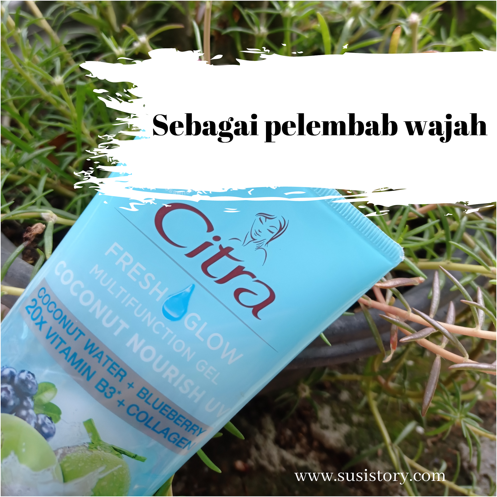 3 Fungsi Citra Fresh Glow Coconut Nourish UV Multifunction Gel. Wajib ...