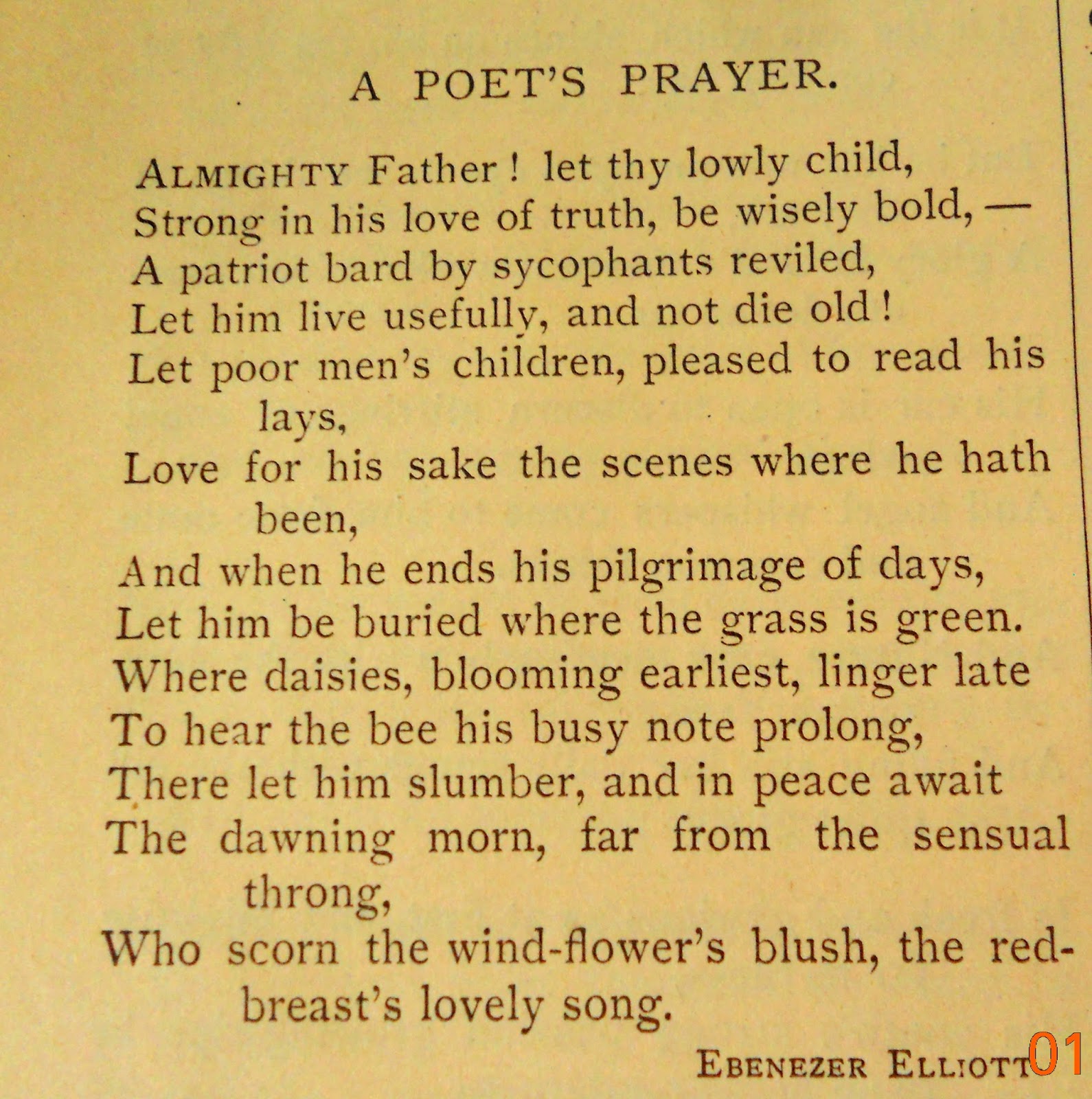 Another Porch ...A Poetry Blog: Desperate Pleasure...