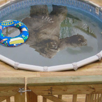 Washington State Family Claims Bigfoot Swam inward Their Pool ~ Sandy One