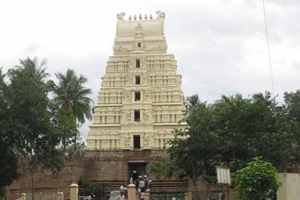 The Hathakesvara Temple at Srisailam | AP Heritage