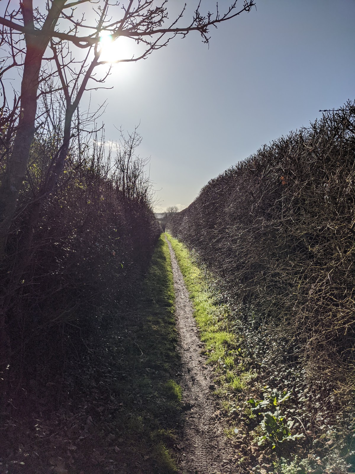 The Ridgeway (Or Icknield Way) #4: Lewknor to Goring