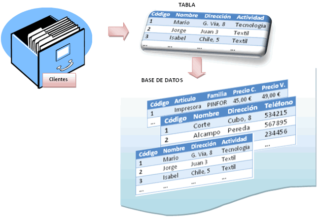 INFORMATICA 11-04: Base de datos