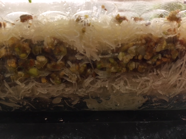 My Favorite Recipes Collection: Ballourie or Ballorieh Baklava