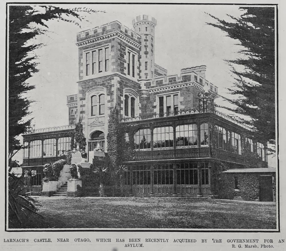 Reasons for Insane Asylum admissions in the Victorian era