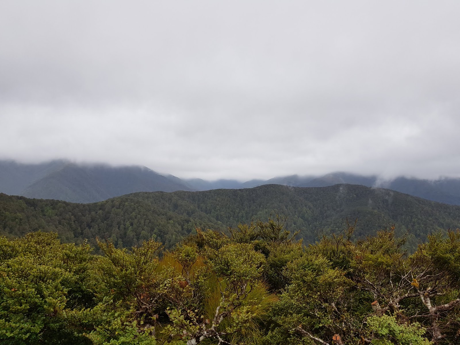 Tramping the Tararuas: Blue Range Hut