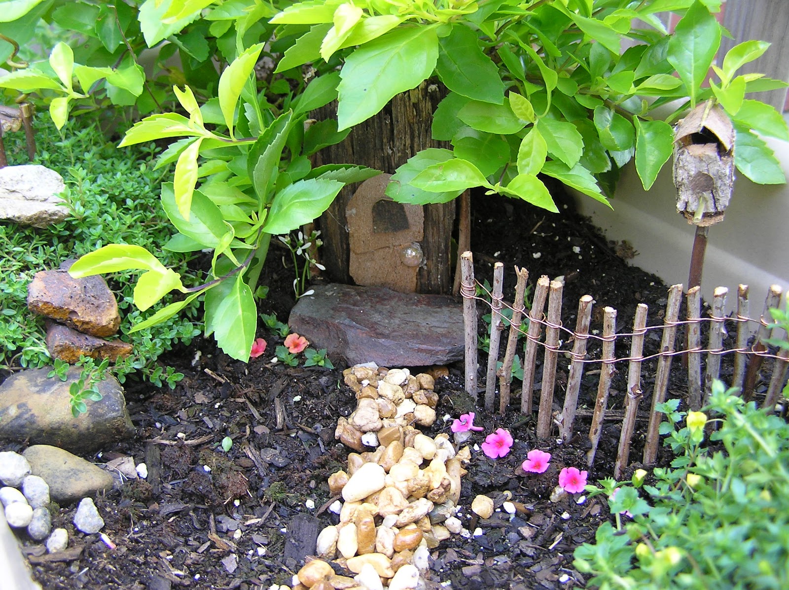 Splendid Little Stars: Miniature Garden: a Challenge