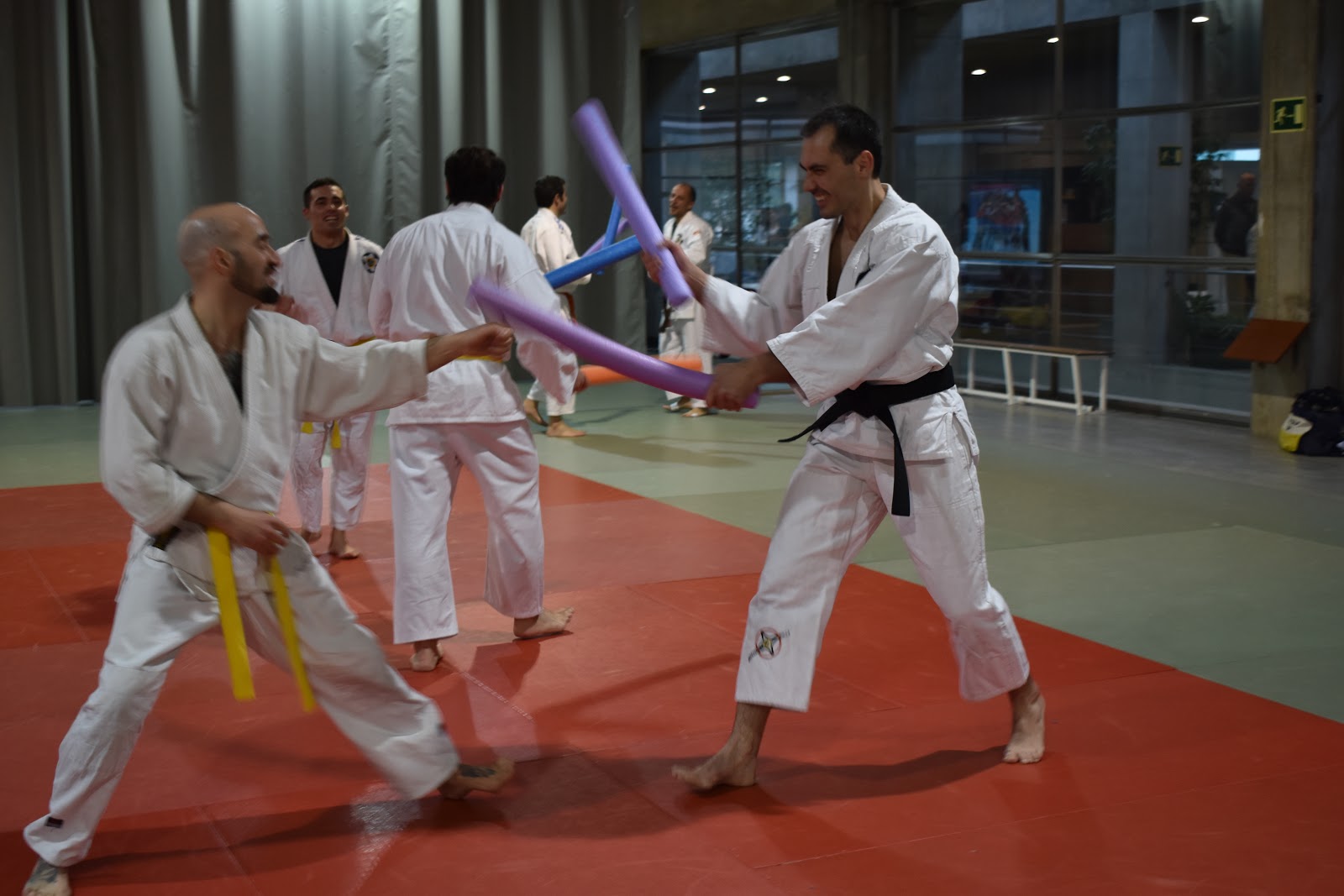 空手道 BUDO TOLEDO 柔術: CURSO TÉCNICO DE ATEMI WAZA DE JIU-JITSU