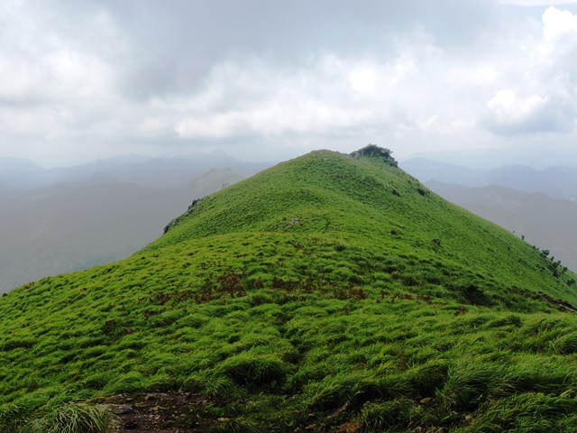 Palkulamedu Eco Tourism & Trekking | പാൽകുളംമേട് | Idukki