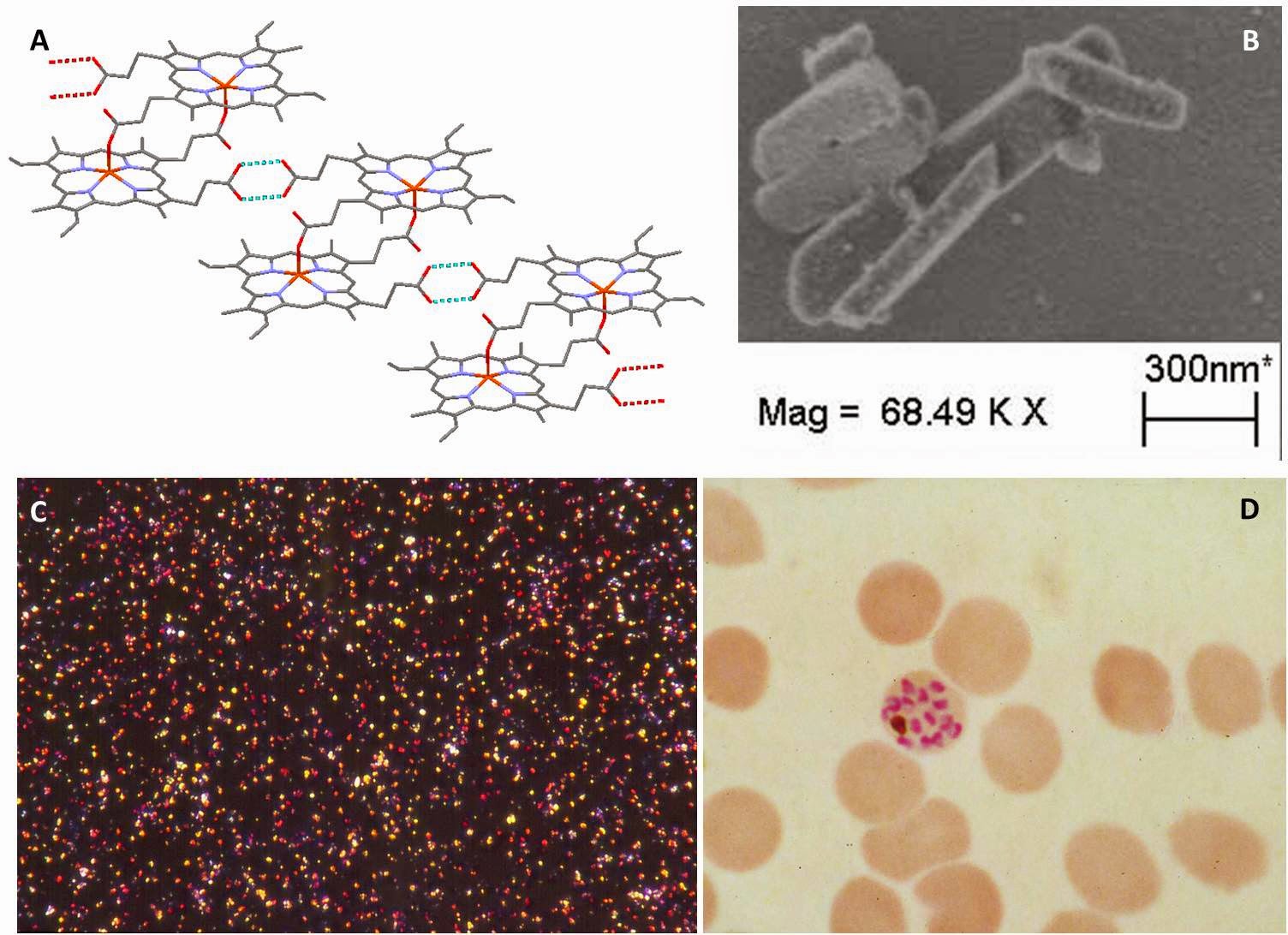 Curiosidades de la Microbiología: 2014