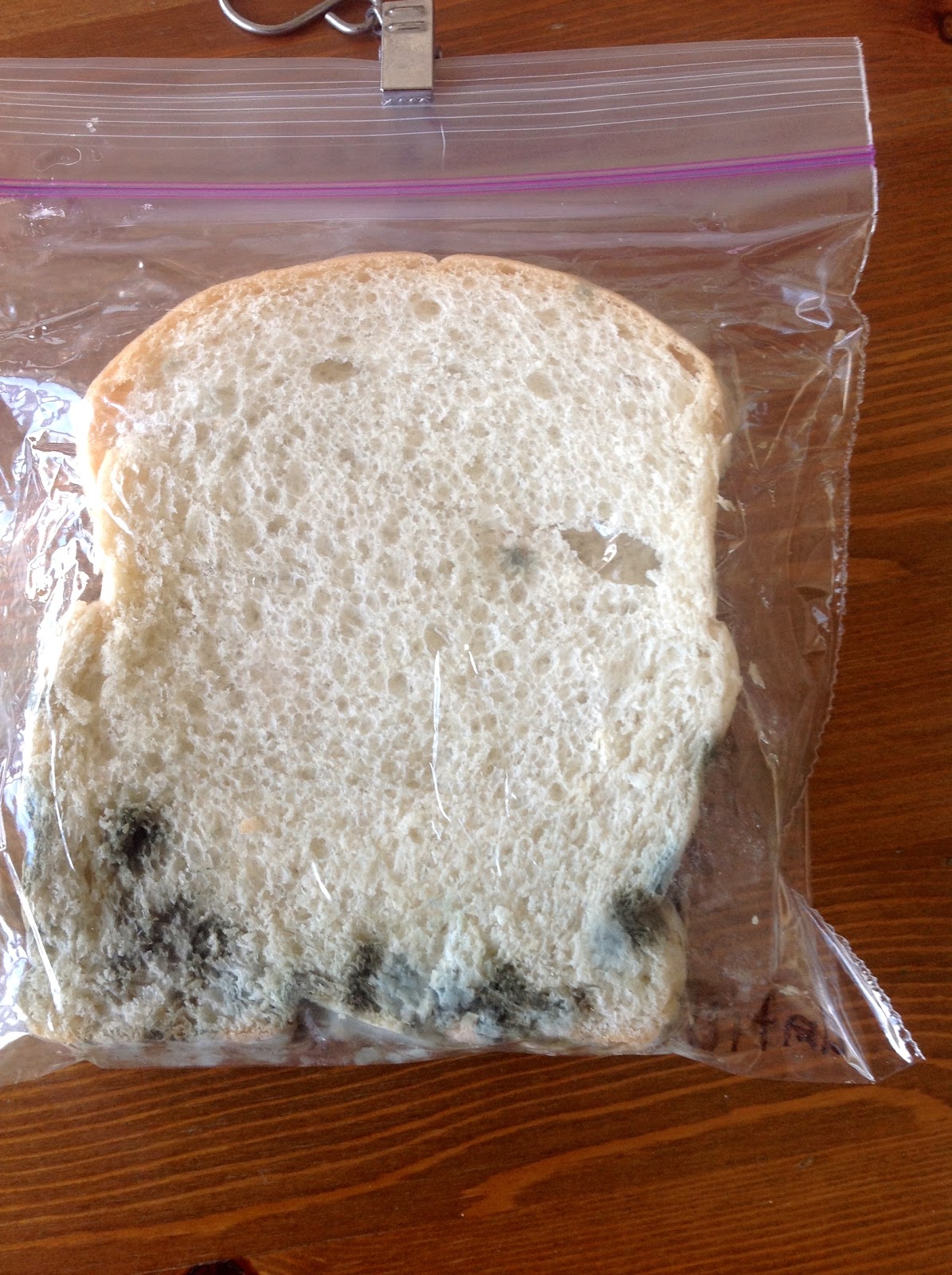 More Mom Time: Our preservation and decay experiment