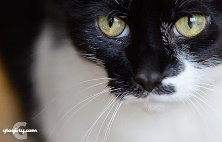 GLOGIRLY: When Being a Brat is Normal - 7 Tips for Dealing with ...