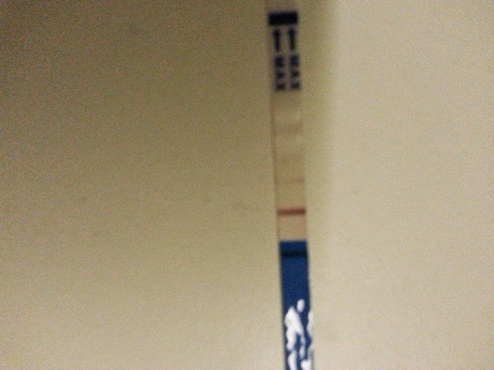 PREGNANCY TEST (UPT) MURAH GALLERY | Ovulation test kit (opk ...