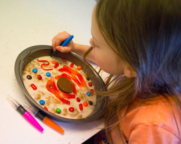 Craft Knife: Edible Plant and Animal Cells