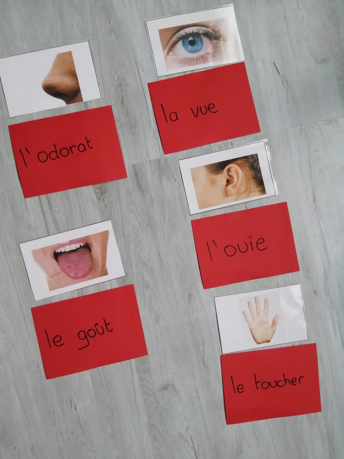 Les 5 sens: le toucher