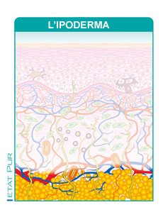 Benessere e Bellezza Naturale: Stratificazione della pelle