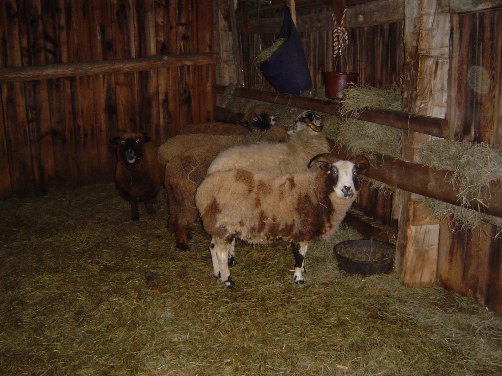 Healing Light Sanctuary