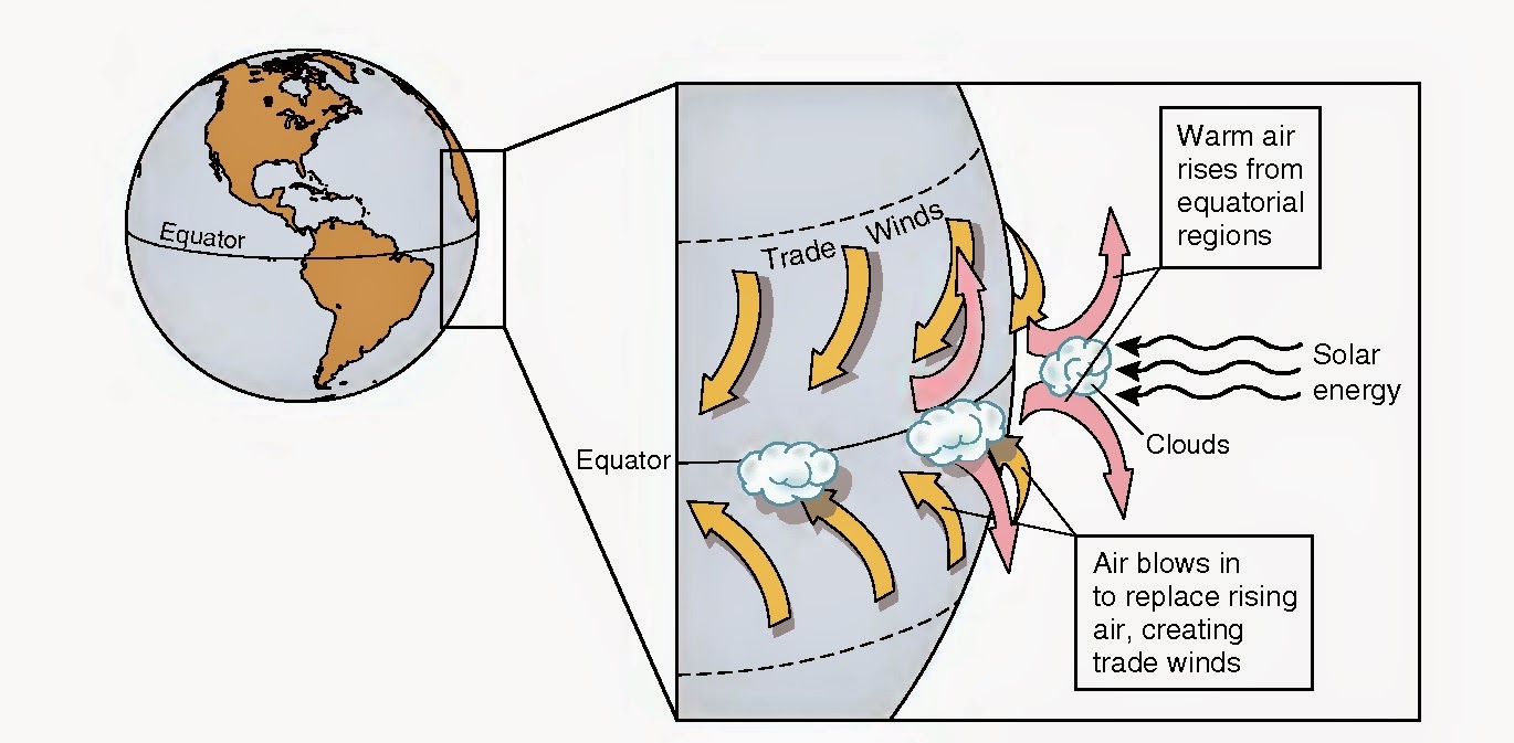 Hidrofilia: Correntes Marinhas