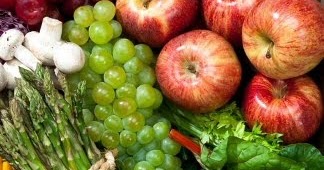 Are Humans evolved to eat Veg Diet Only