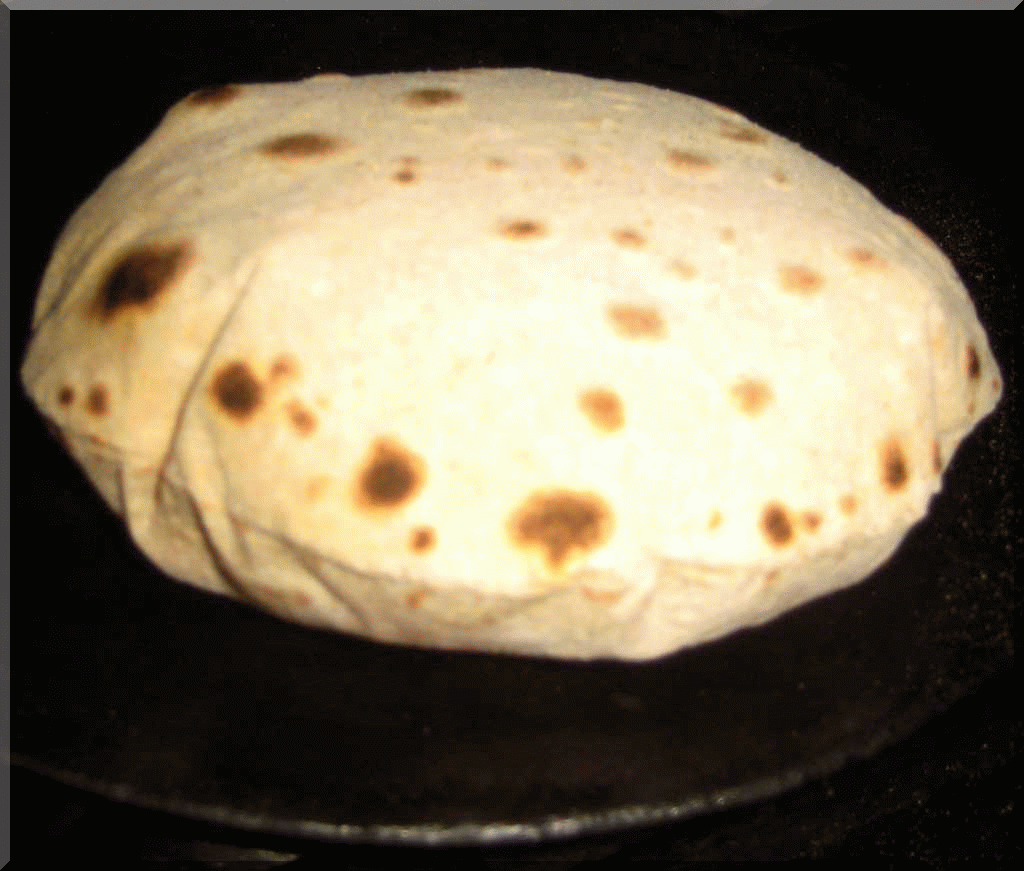 Tourist Attraction India: Travel and Food : Chapati