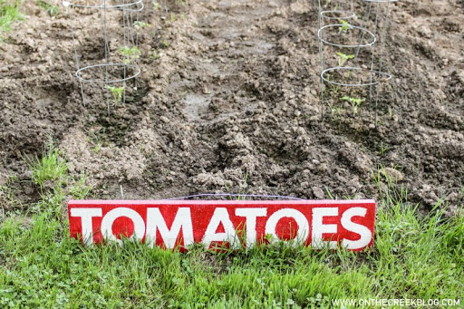 Vintage Inspired 'Tomatoes' Sign