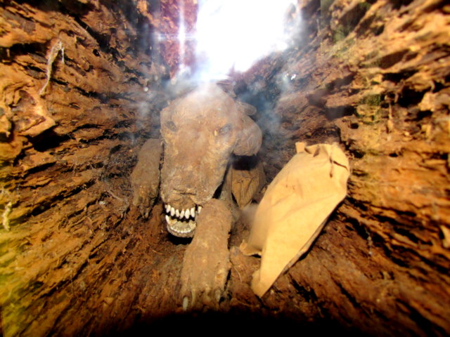 Forgotten Georgia: Stuckie