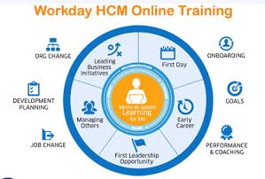 | WorkDay HCM