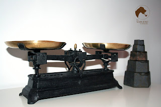 EL SABUESO ANTIQUITé: LA BALANZA, UNA HERENCIA ANCESTRAL