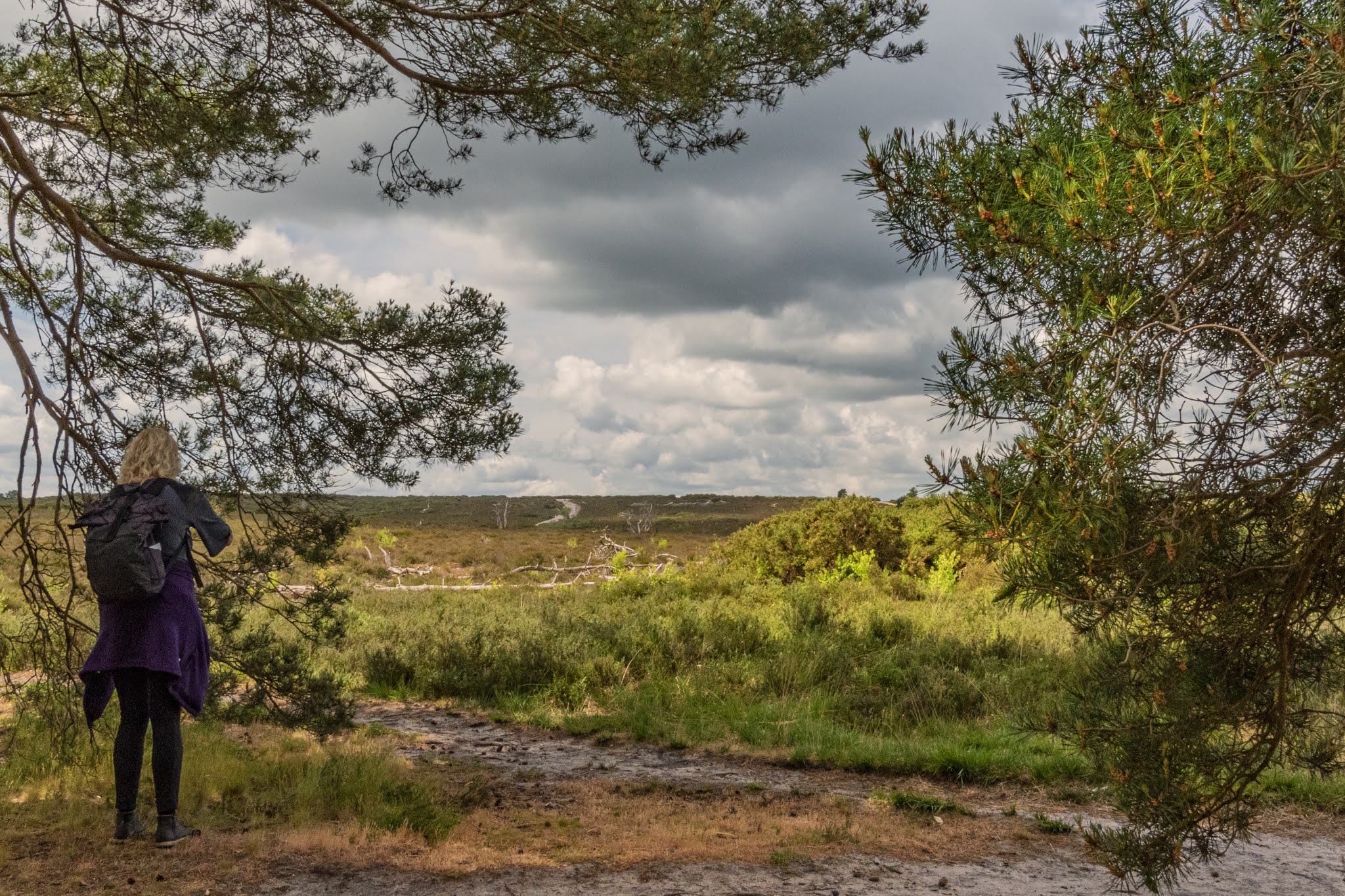 Enjoy your time with beautiful places: Frensham Common