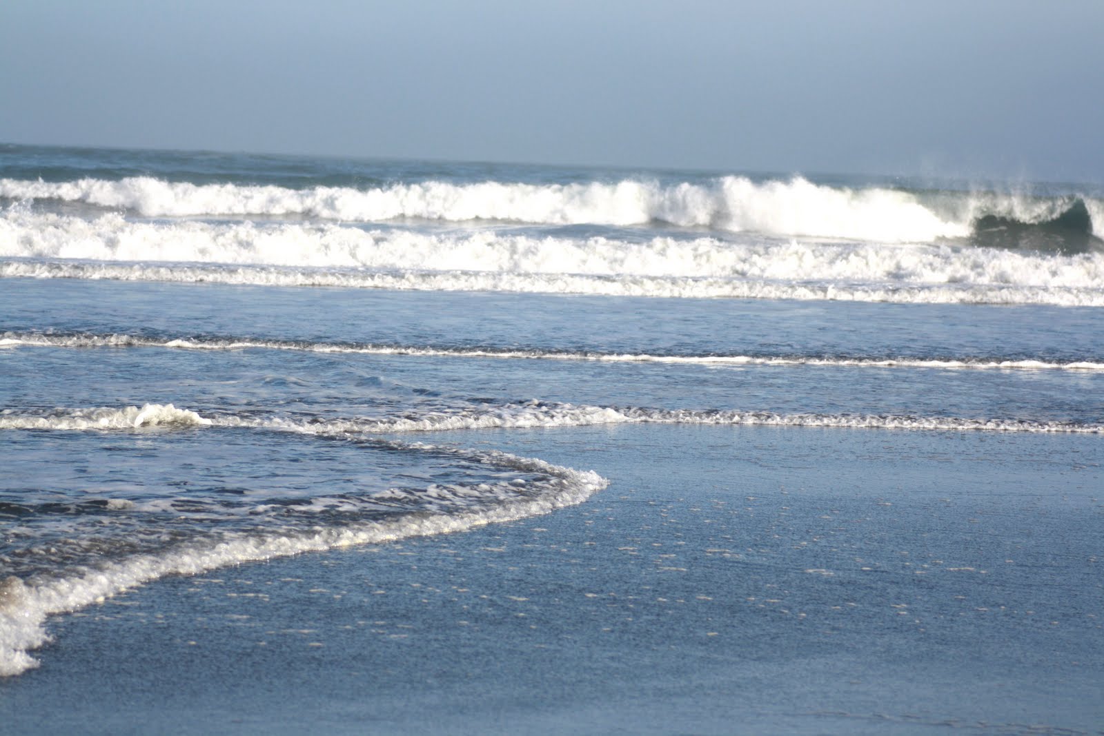 ozma of odds: ...sea ruffles