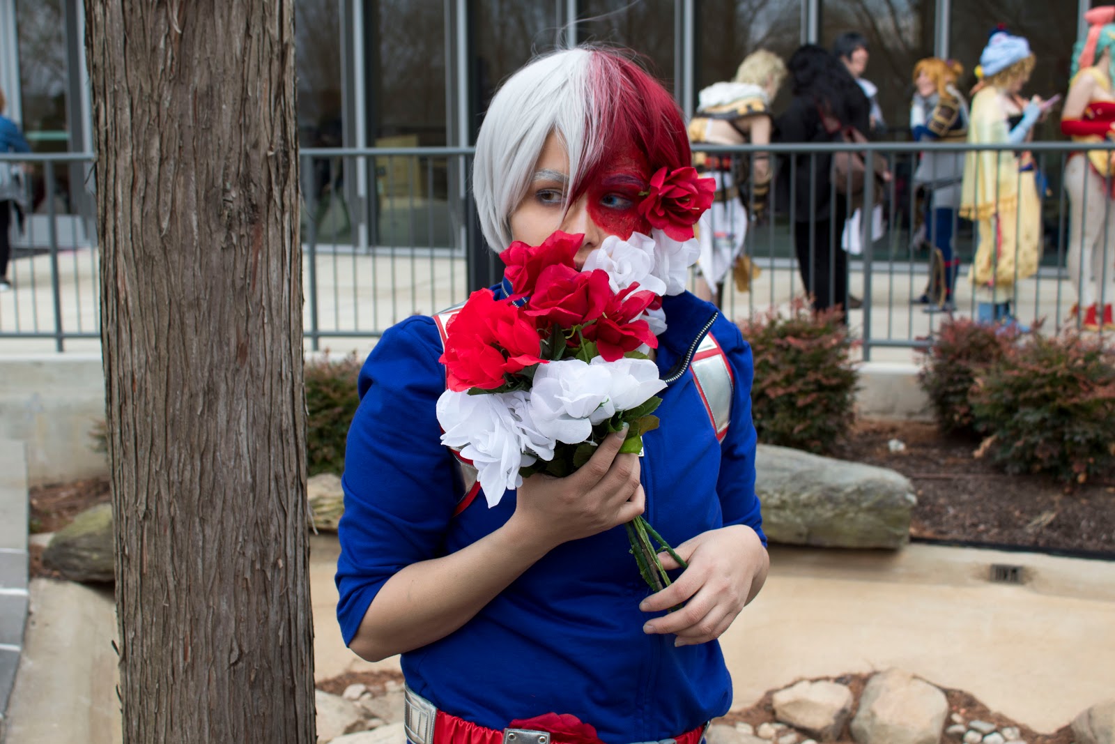 Haki Disease Shoto Todoroki cosplay Photoshoot with mistress.america