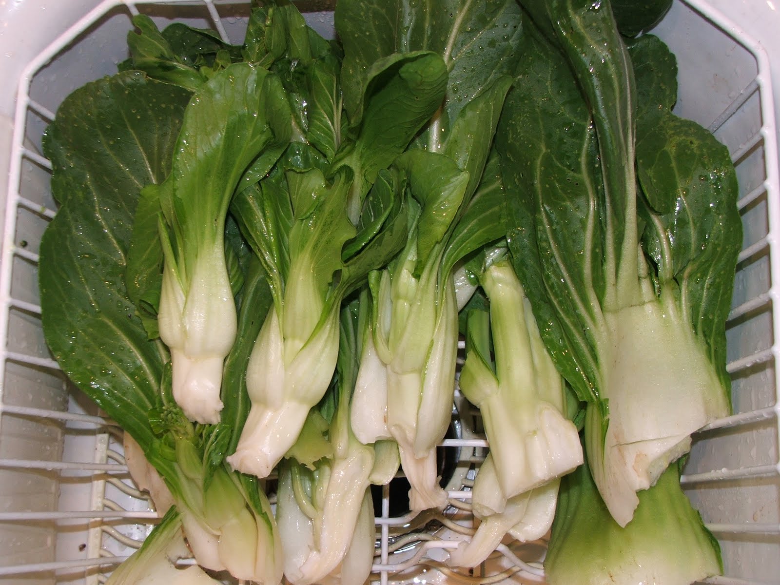 The Gaffney Farm Blog: How We Cook Pak Choi