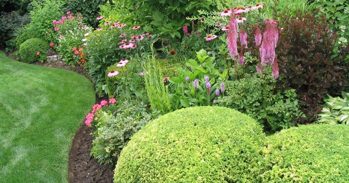 Home Gardening and Landscaping Ideas: Choosing the Best Plants for your ...