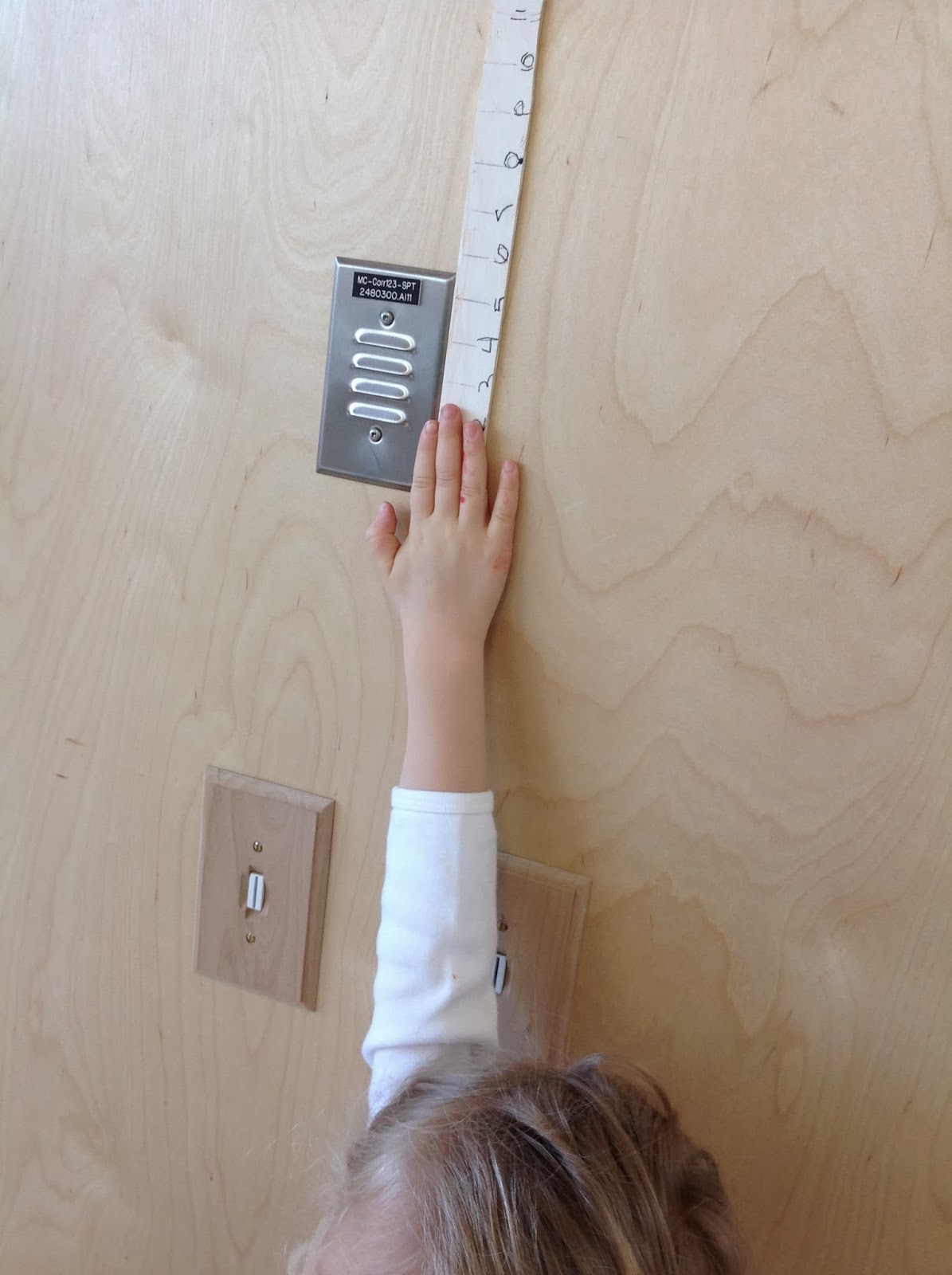 Wonders in Kindergarten: Measuring Sticks!