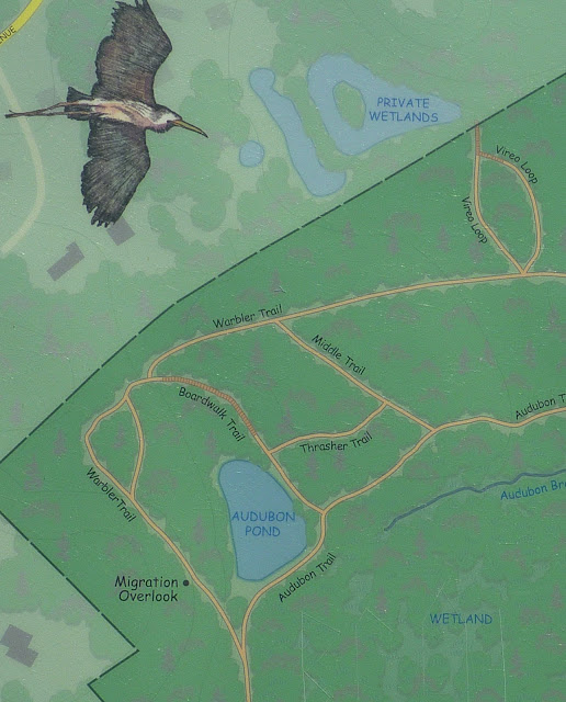 Trailing Ahead: Marblehead Neck Wildlife Sanctuary