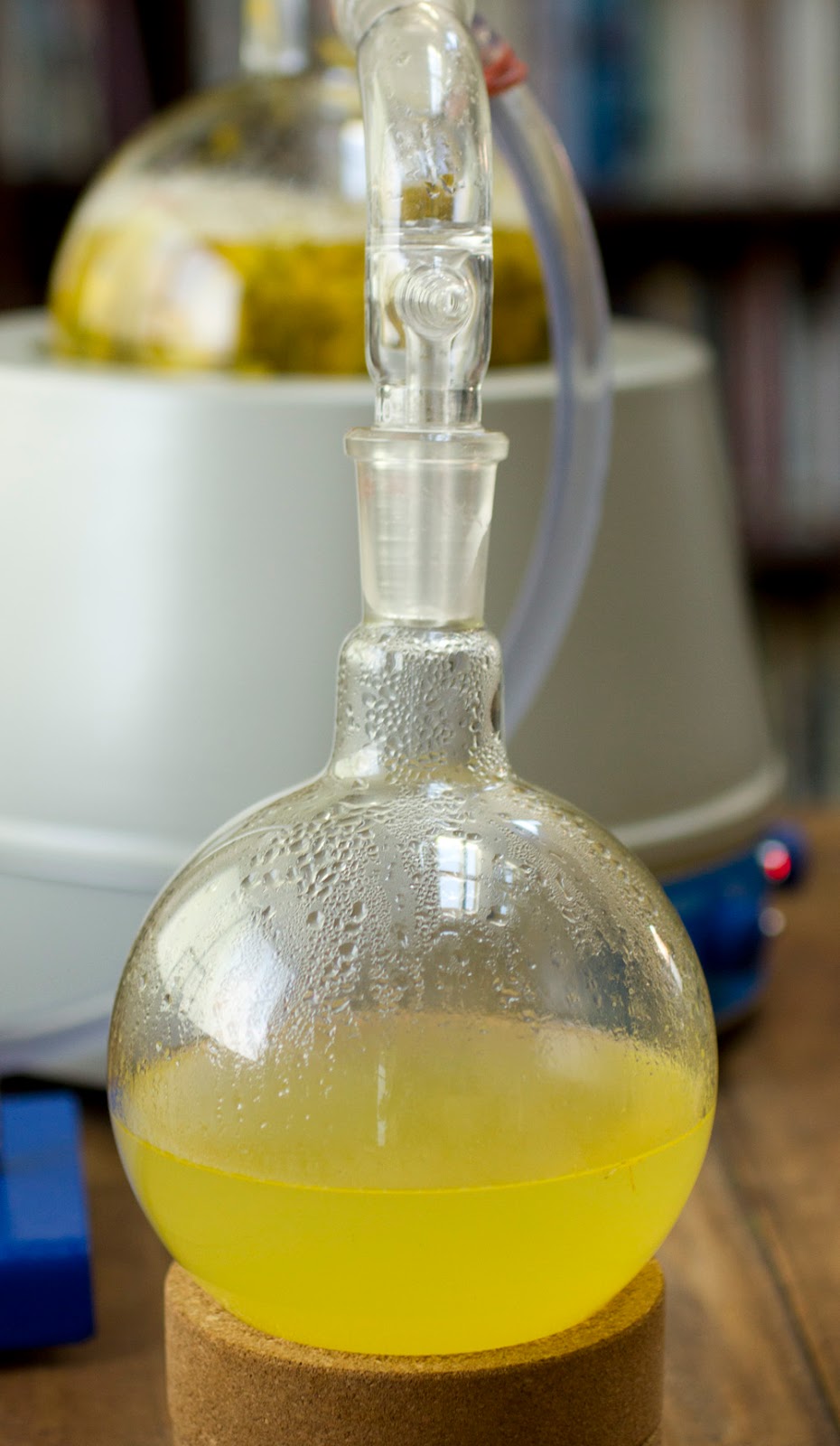 Illuminated Perfume: Chamisa distillation